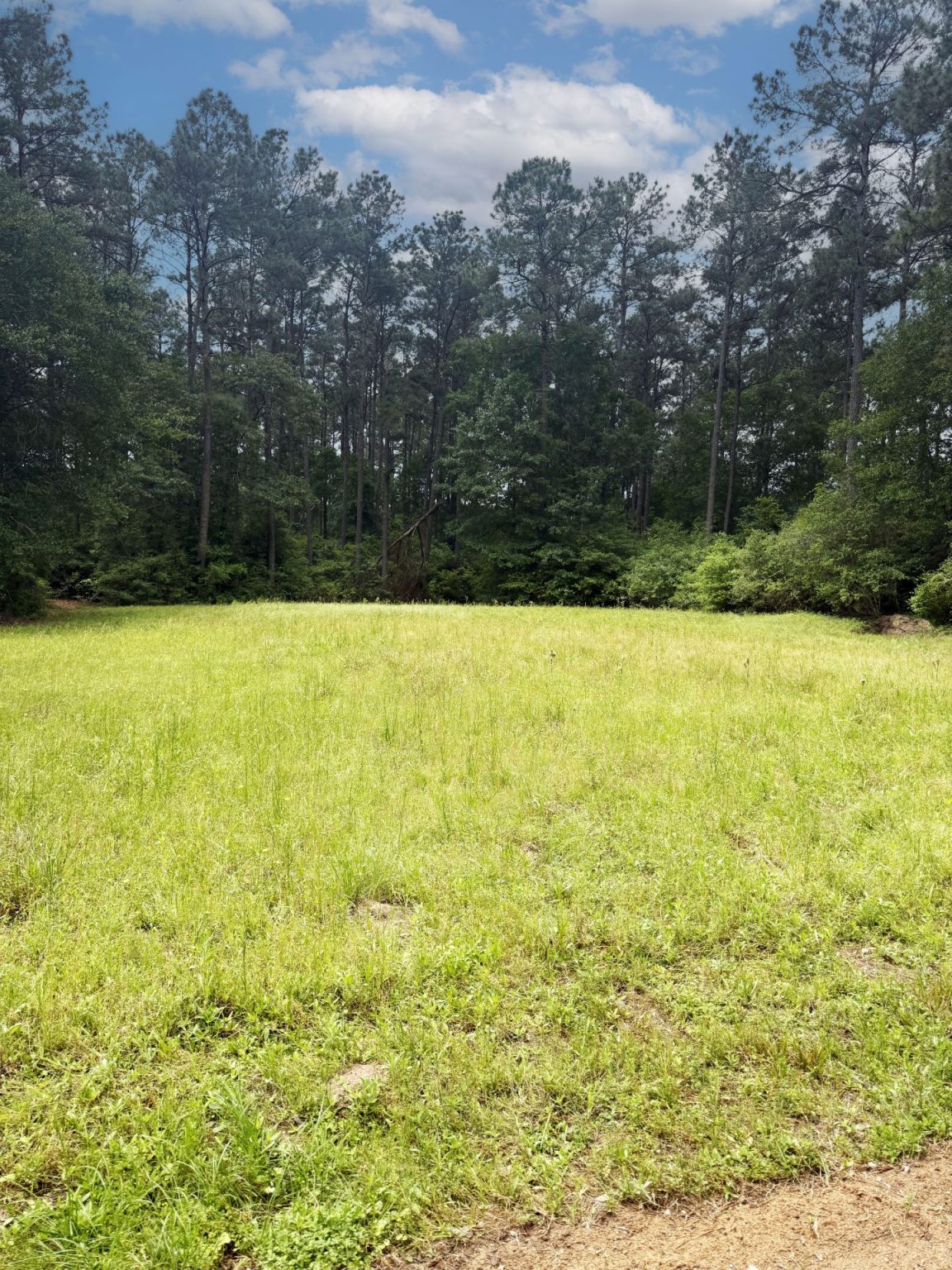 45 Acres Lone Star Rd – Brazos Land Company